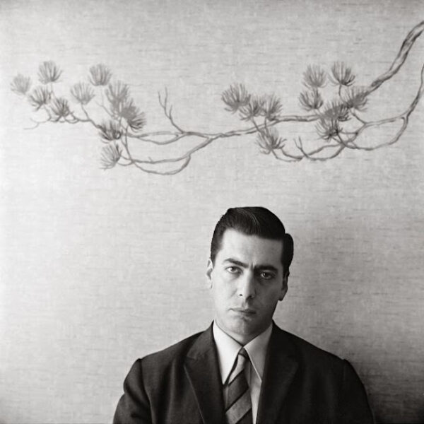 Morre Mario Vargas Llosa: O gigante da Literatura Latino-Americana se ...